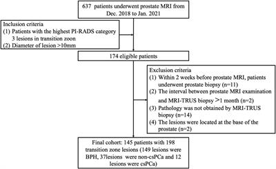 Frontiers | Sub-differentiation of PI-RADS 3 lesions in TZ by advanced ...