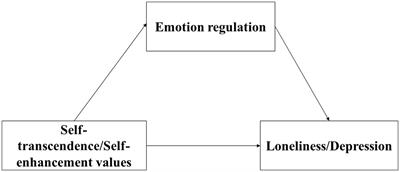 Frontiers | Values mediated emotional adjustment by emotion regulation ...
