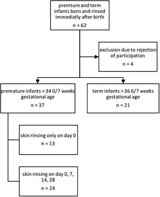 Frontiers | Antimicrobial skin peptides in premature infants ...