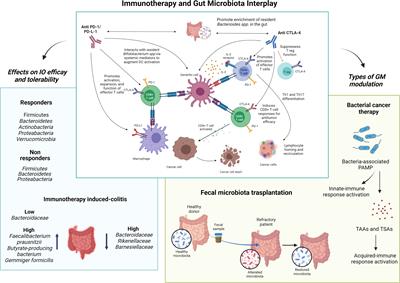 Frontiers | Editorial: Microbiota and metabolites in cancer immunotherapy