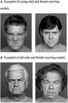 Frontiers | Corrigendum: Facial expressions and emotion labels are ...