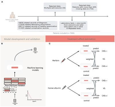 Frontiers | Analyzing and predicting the risk of death in stroke ...