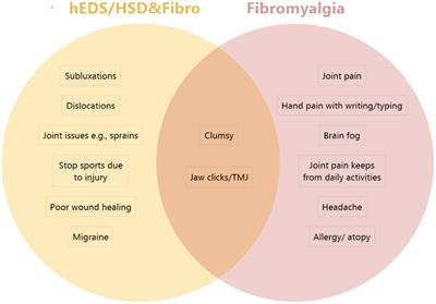Frontiers | High overlap in patients diagnosed with hypermobile Ehlers ...