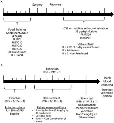 Frontiers | Impact of tobacco smoke constituents on nicotine-seeking ...