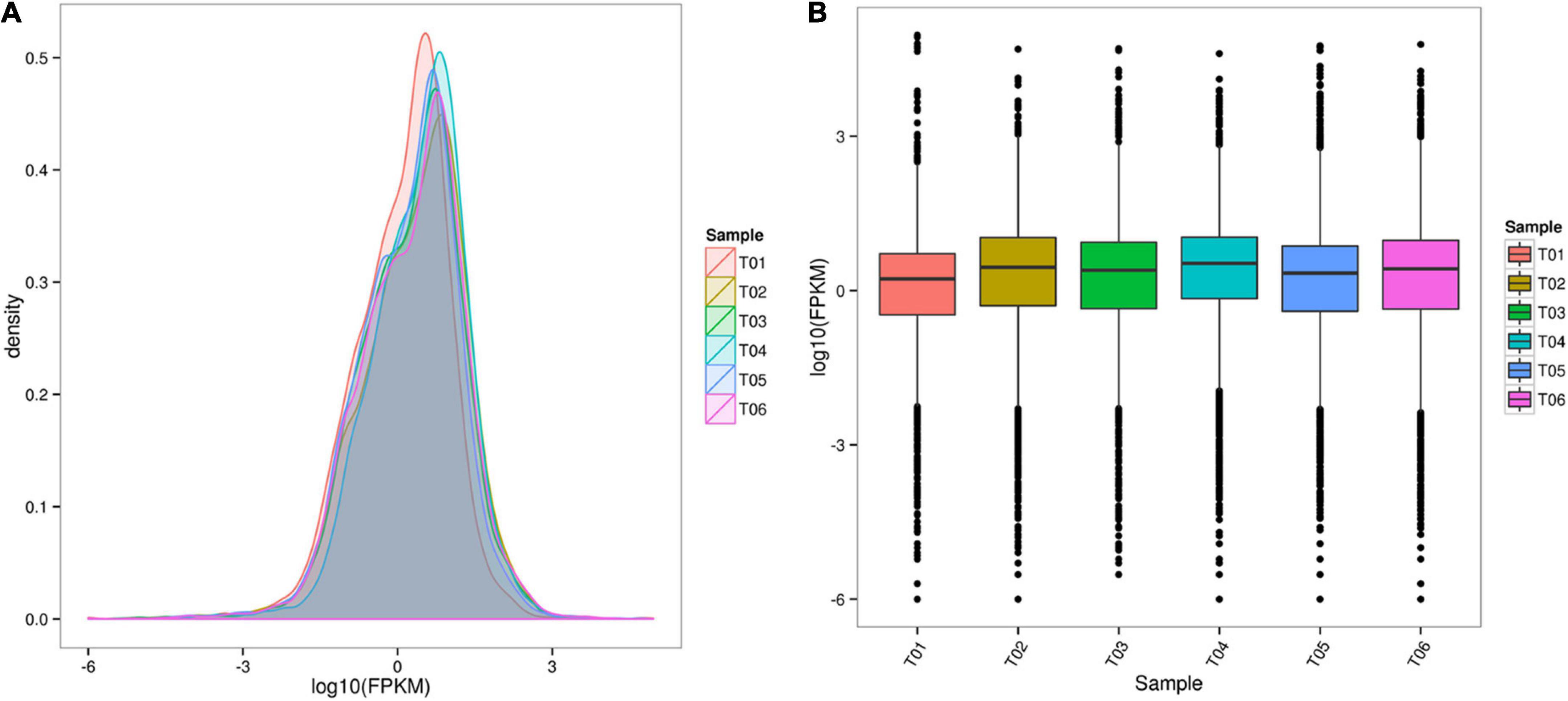 Frontiers | Comparative transcriptome analysis of adult worker bees ...