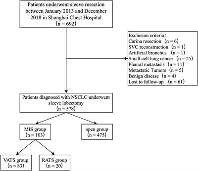 Frontiers | Minimally invasive sleeve lobectomy for centrally located ...