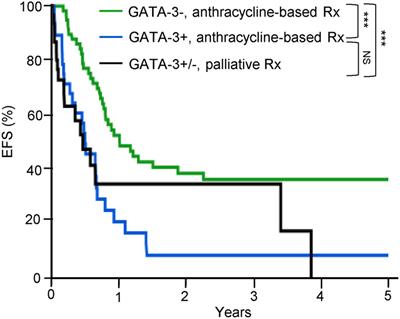 Frontiers | PTCL, NOS: An update on classification, risk-stratification ...