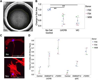Frontiers | Identifying molecular and functional similarities and ...