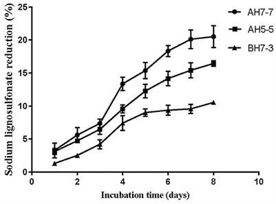 Frontiers | Isolation and identification of ligninolytic bacterium ...