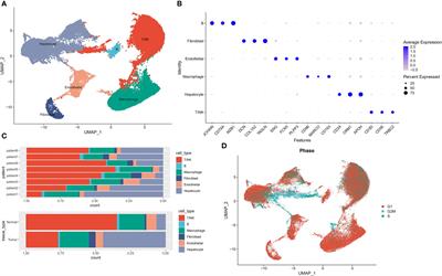 Frontiers | Single-cell transcriptome analysis reveals the metabolic ...