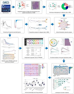 Frontiers | Integration analysis of single-cell and spatial ...
