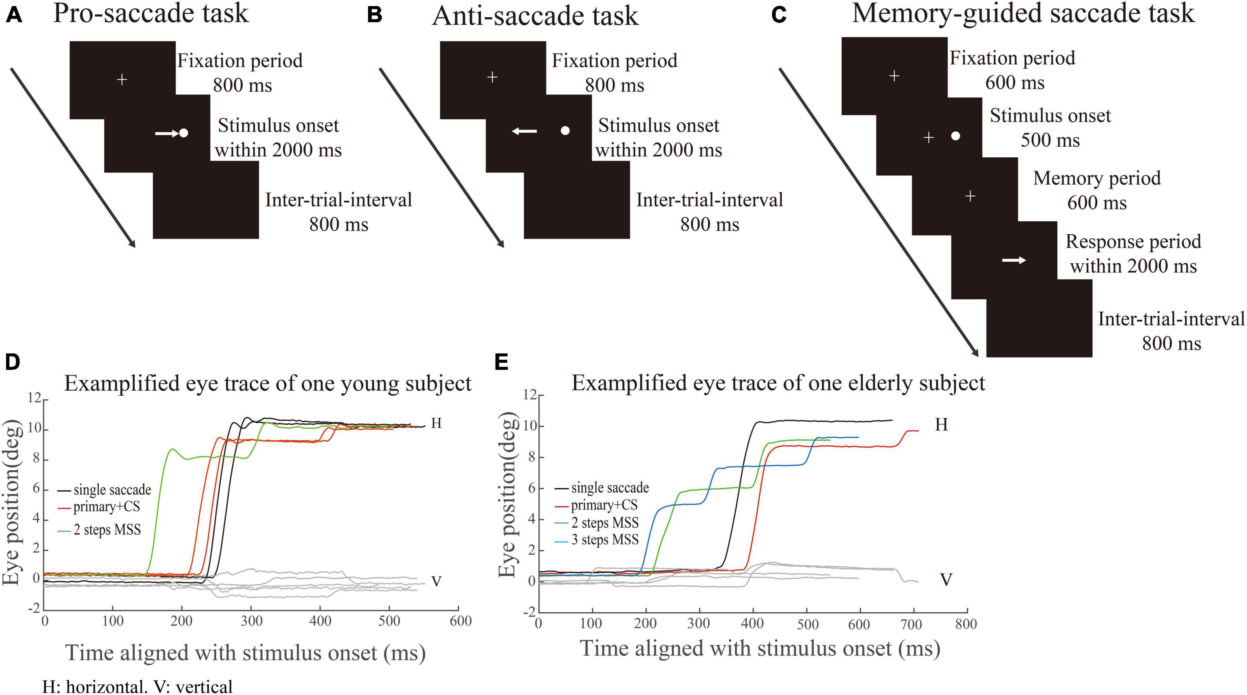 Frontiers | Multiple step saccades are generated by internal real-time ...