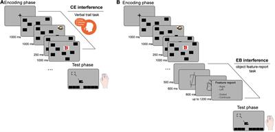 Frontiers | The binding of negative emotional stimuli with spatial ...