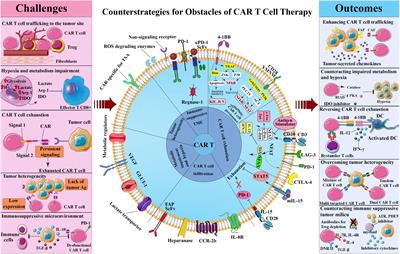 Frontiers | The current landscape of CAR T-cell therapy for solid ...