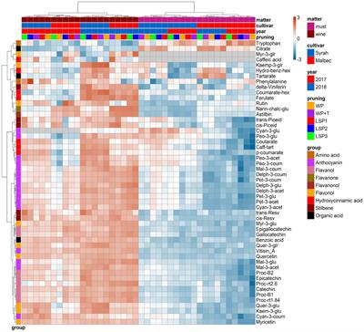 Frontiers | Influence of late pruning practice on two red skin ...