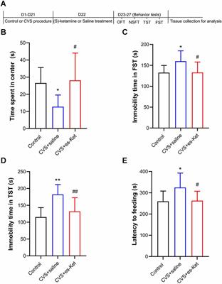 Frontiers | Effects of (S)-ketamine on depression-like behaviors in a ...
