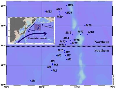 Frontiers | Phytoplankton community structure in the Western Subarctic ...