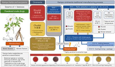 Frontiers | Kampo herbal ointments for skin wound healing