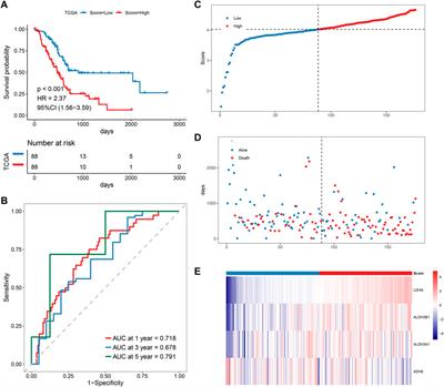 Frontiers | Comprehensive analysis reveals signal and molecular ...