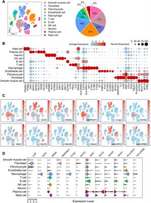 Frontiers | Integrated single-cell RNA-seq analysis reveals the vital ...