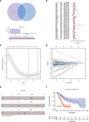 Frontiers | Identification of gene signatures related to hypoxia and ...