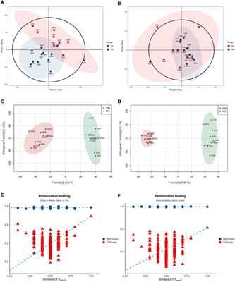 Frontiers | Metabolomics analysis reveals serum biomarkers in patients ...