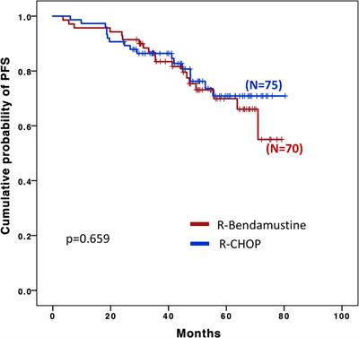 Frontiers | Comparison of first-line treatment with bendamustine plus ...