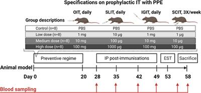 Frontiers | Dose and route of administration determine the efficacy of ...