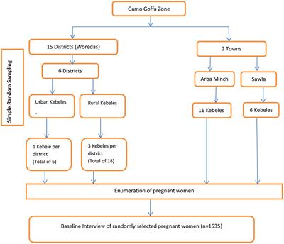 Frontiers | Multilevel analysis of factors for intimate partner ...