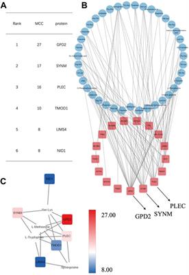 Frontiers | Multiple targets related to mitochondrial function unveiled ...