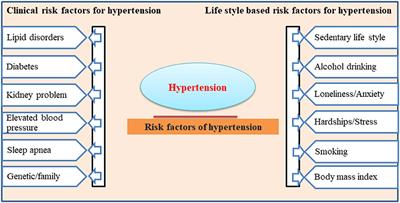 Frontiers | The perspective of hypertension and salt intake in Chinese ...