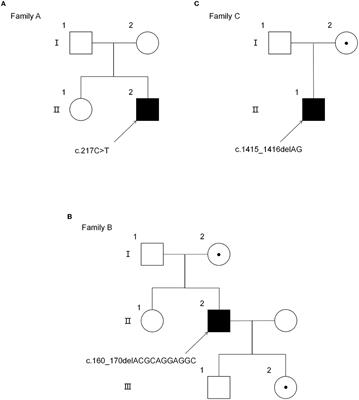 Frontiers | Novel mutations in the ABCD1 gene caused ...