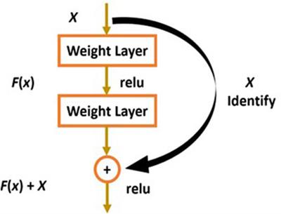 Frontiers | Fundus image classification using Inception V3 and ResNet ...