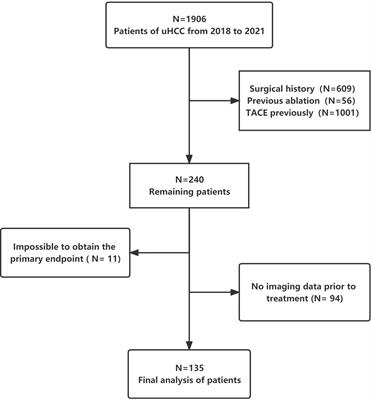 Frontiers | Hepatic arterial infusion chemotherapy combined with anti ...
