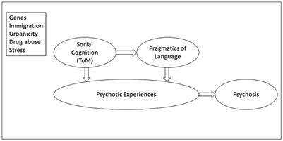 Frontiers | Editorial: Psychotic experiences, social cognition and ...