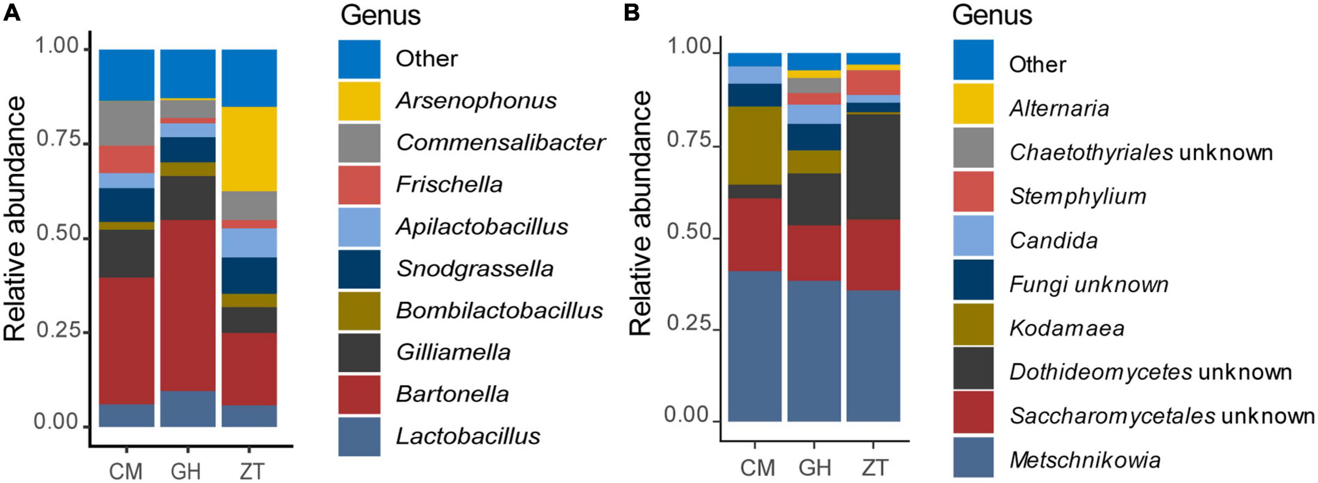 Frontiers | Environment or genetic isolation? An atypical intestinal ...