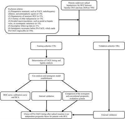 Frontiers | Adjuvant transarterial chemoembolization timing after ...