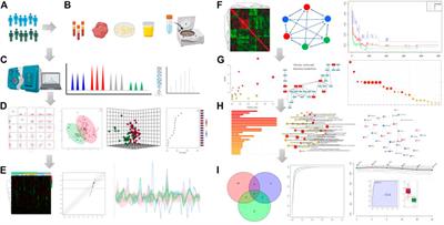 Frontiers | Innovation in identifying metabolites from complex ...