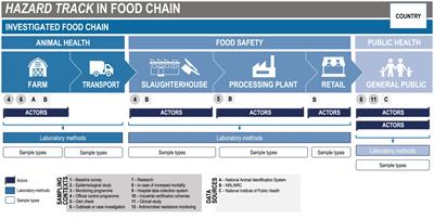 Frontiers | Mapping food surveillance chains through different sectors