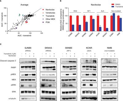 Frontiers | MEK inhibition causes BIM stabilization and increased ...