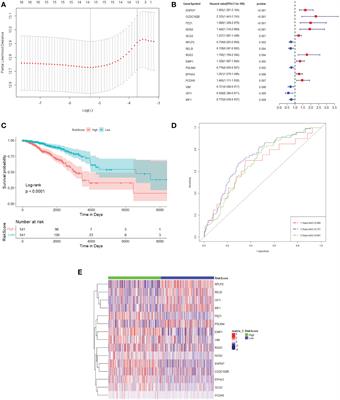 Frontiers | A large-scale screening and functional sorting of tumour ...