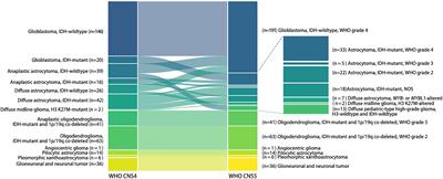 Frontiers | Clinical updates on gliomas and implications of the 5th ...