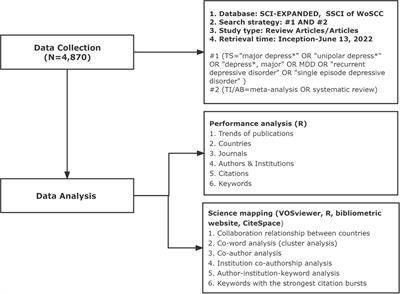 Frontiers | Systematic reviews and meta-analyses on major depressive ...
