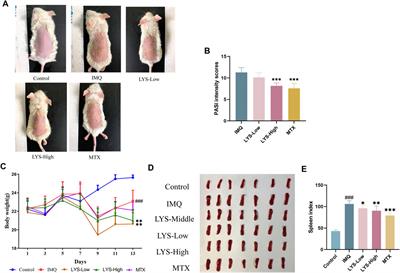 Frontiers | Effect and mechanism of longkui yinxiao soup in treating ...