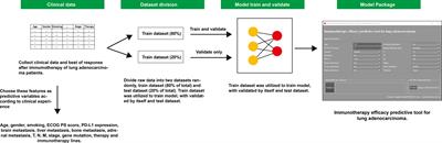 Frontiers | Immunotherapy efficacy predictive tool for lung ...