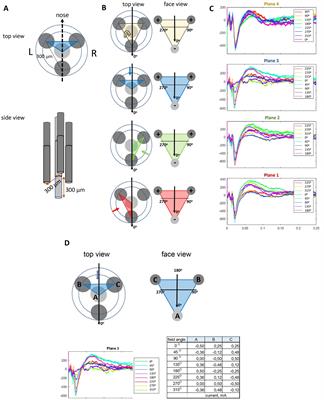 Frontiers | Orientation selective stimulation with tetrahedral ...