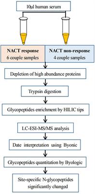 Frontiers | Intact glycopeptides identified by LC-MS/MS as biomarkers ...