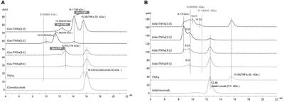 Frontiers | Unique structure of ozoralizumab, a trivalent anti-TNFα ...