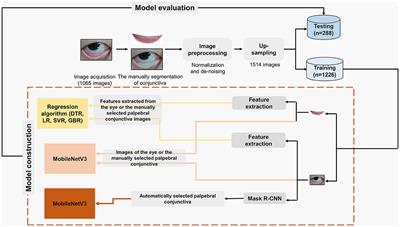 Frontiers | A new, feasible, and convenient method based on semantic ...
