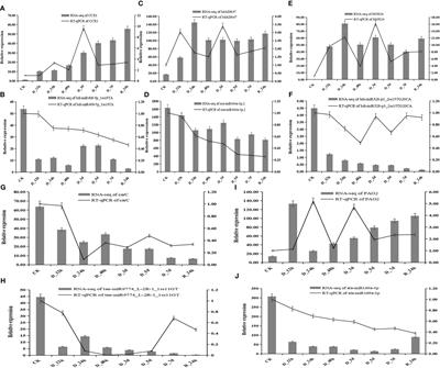 Frontiers | Corrigendum: Integrated analysis of small RNAs ...